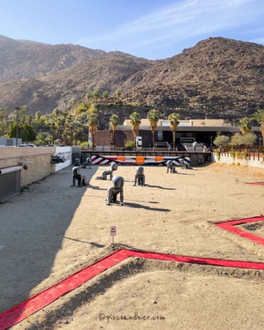25+ Fun & Unique Things To Do In Palm Springs & Cool Places To Go