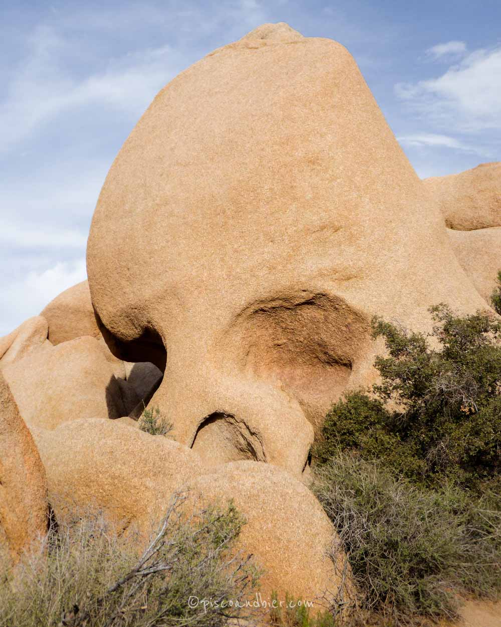 14 Best Joshua Tree Photo Spots & Instagram Spots In Joshua Tree