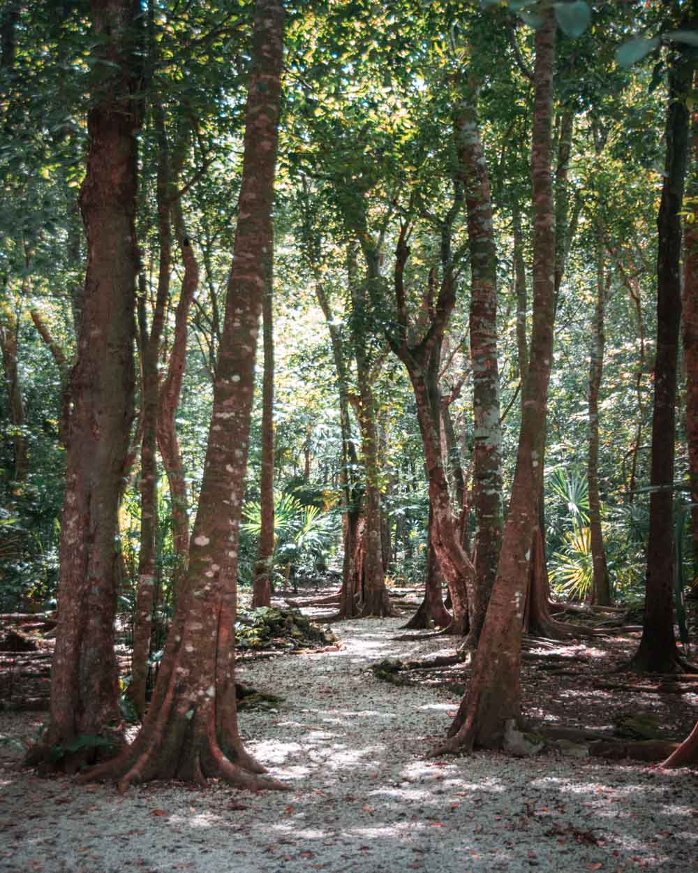 Muyil Ruins Near Tulum & Muyil River Float In The Mayan Canals (2023)