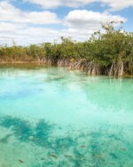 Muyil Ruins Near Tulum & Muyil River Float In The Mayan Canals (2023)