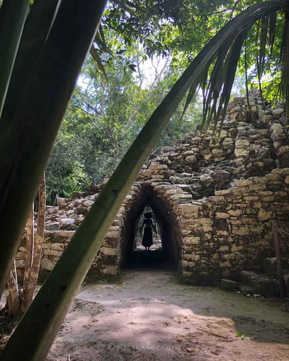 Coba Pyramid & Mayan Ruins In Coba, Mexico (Price + Hours 2023)