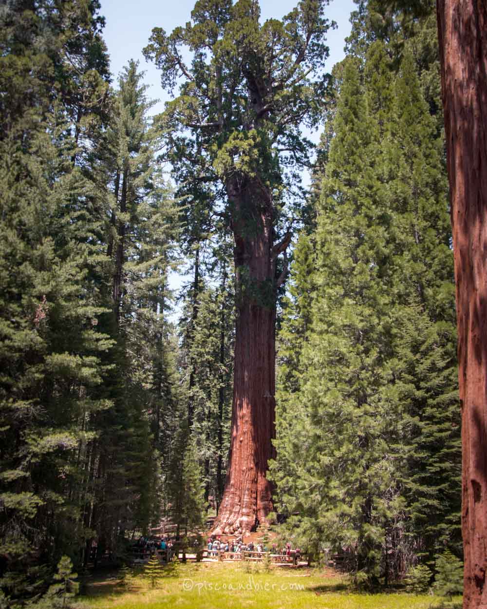 The Ultimate California Bucket List: Best Places To See In California