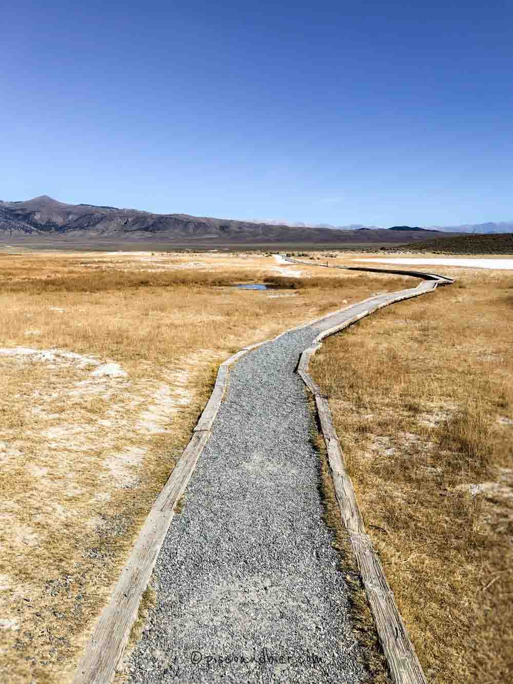 Wild Willy's Hot Springs Mammoth, California [Crowley Hot Springs]