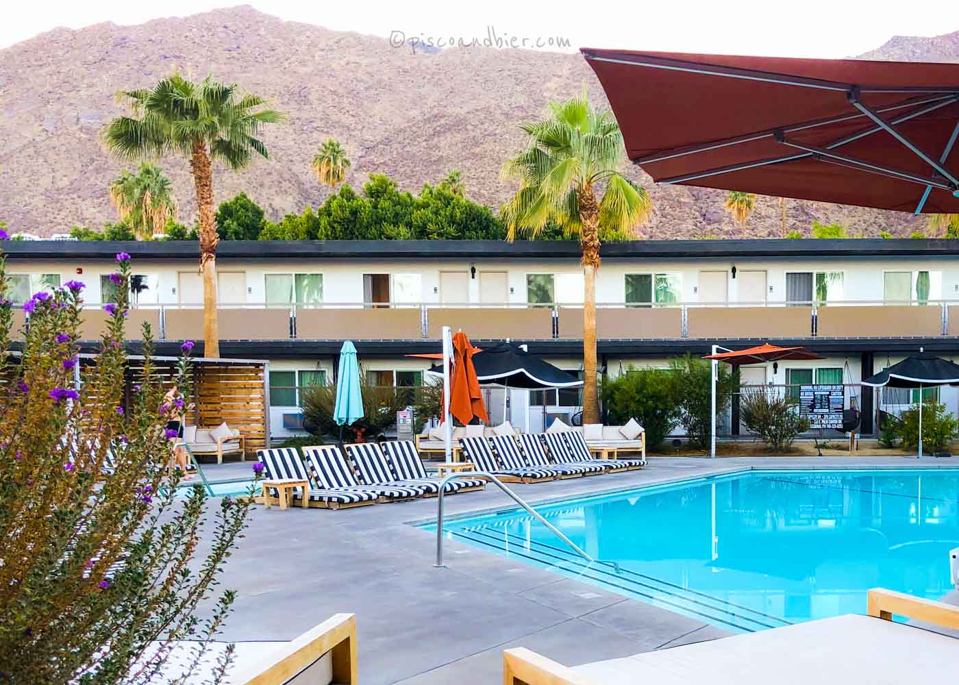 Cool Hotels In Palm Springs - Hip, Trendy & Unique Places To Stay (2024)