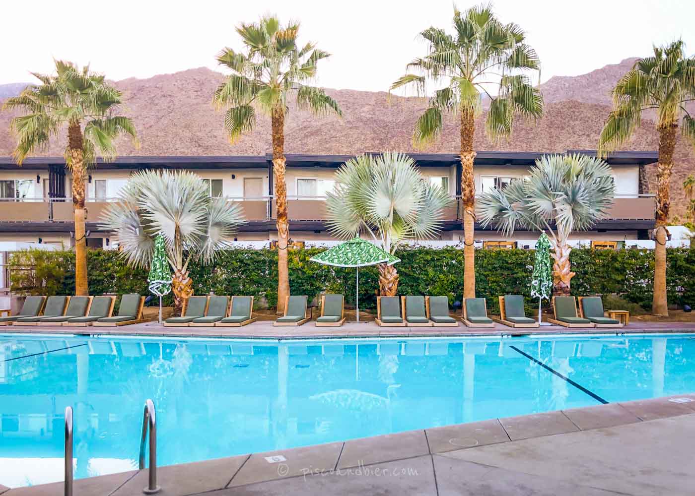 Cool Hotels In Palm Springs - Hip, Trendy & Unique Places To Stay (2024)